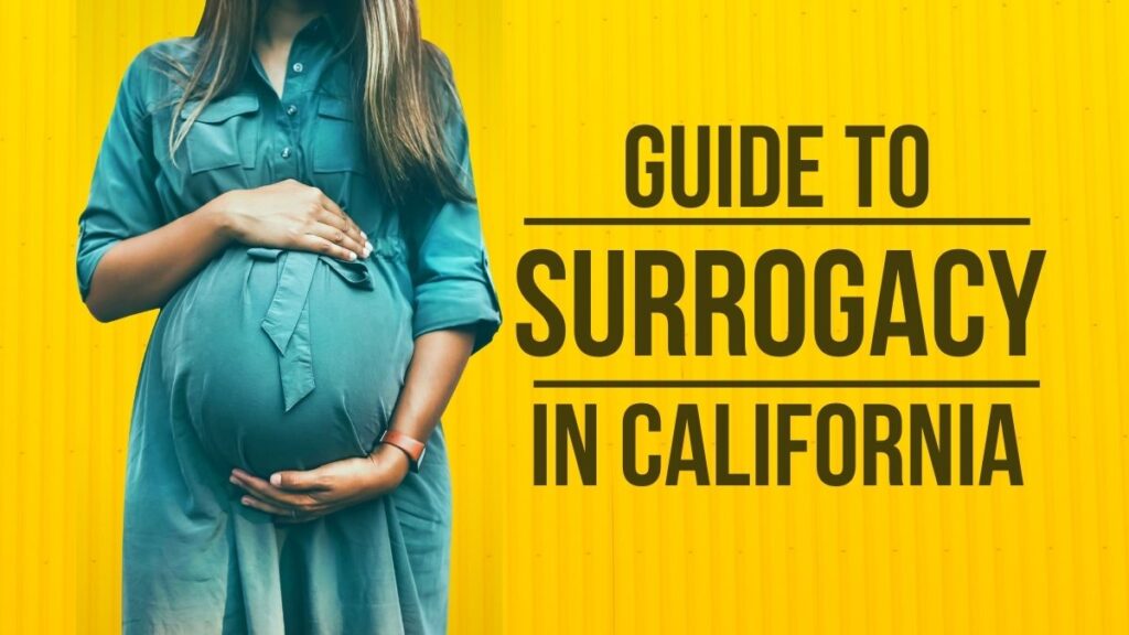 Best Surrogacy Agency in California & Surrogate Laws in California ...